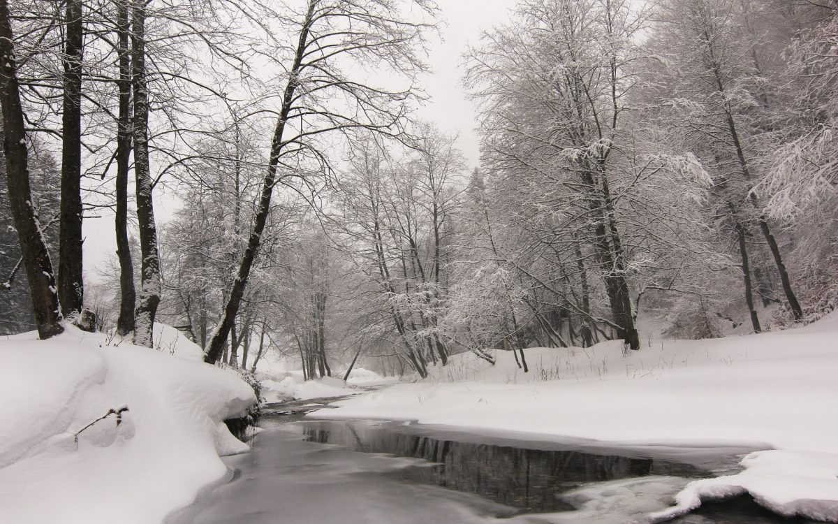 35+ January Wallpaper Sceneries