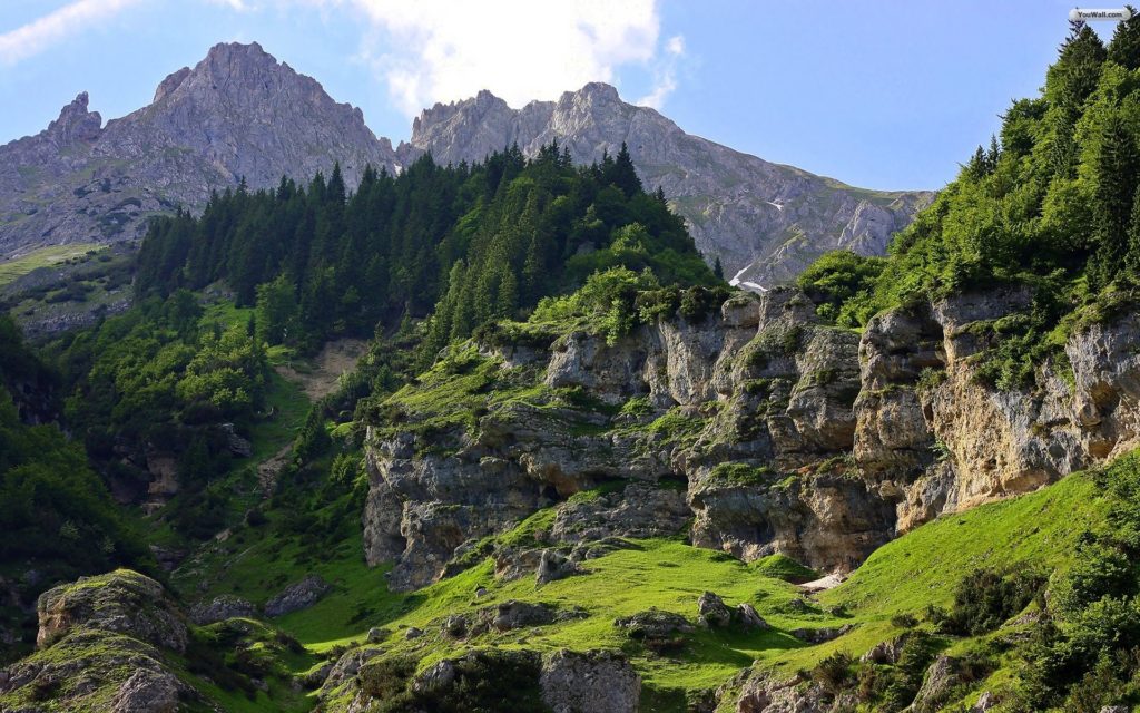 35+ January Wallpaper Sceneries