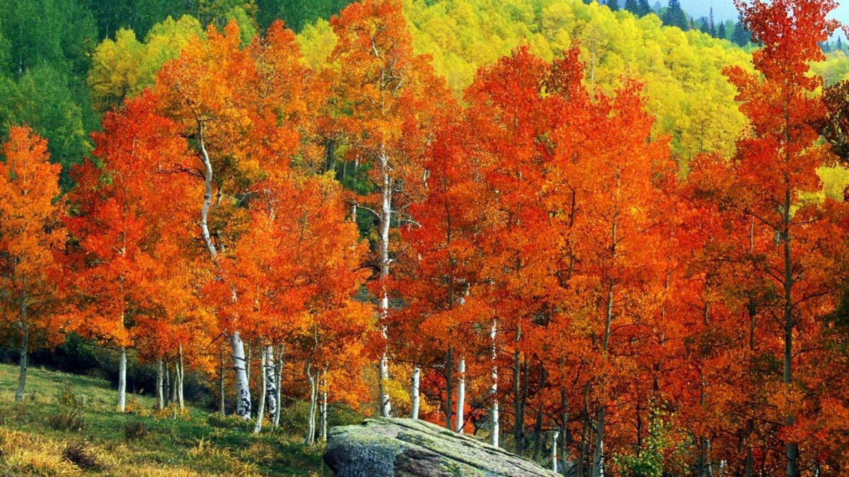 44+ Fall Mountain Desktop