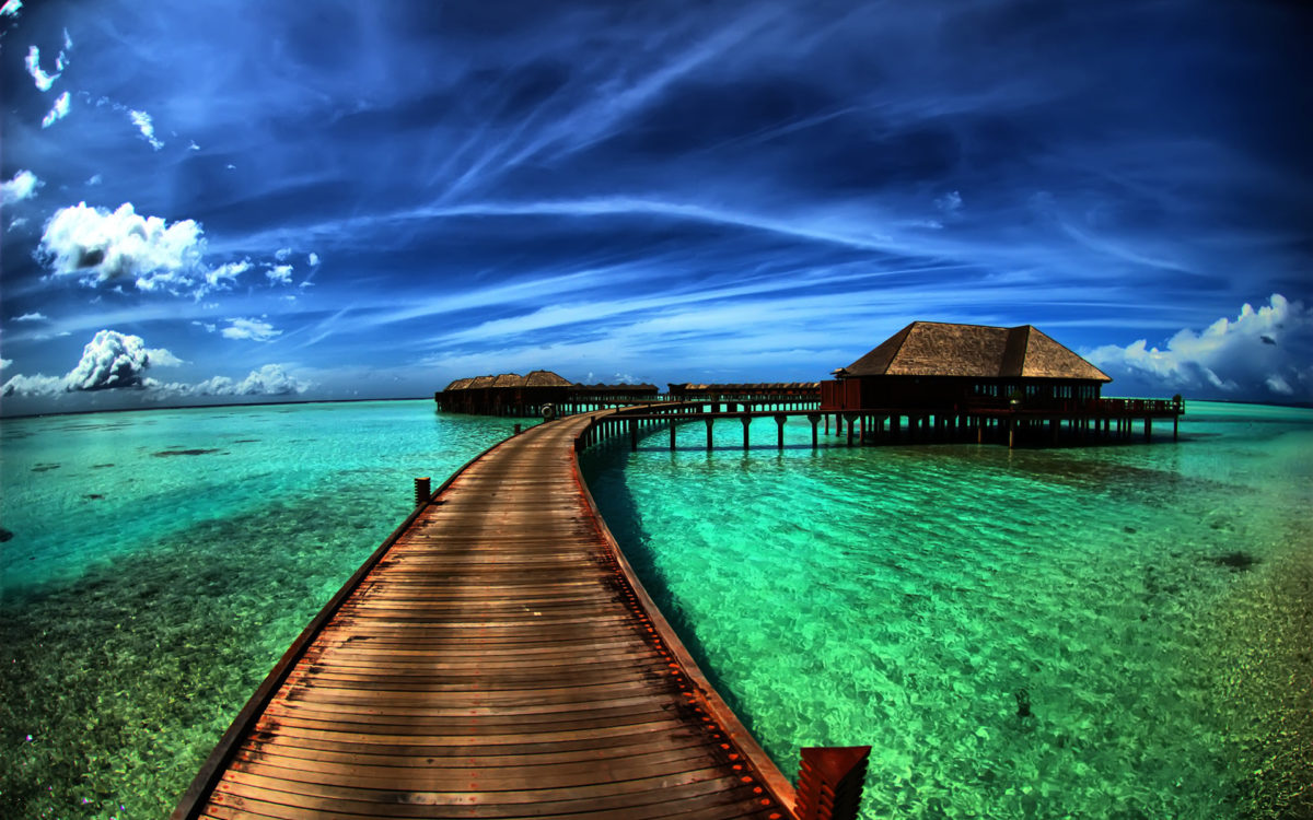 124+ Blue Nature