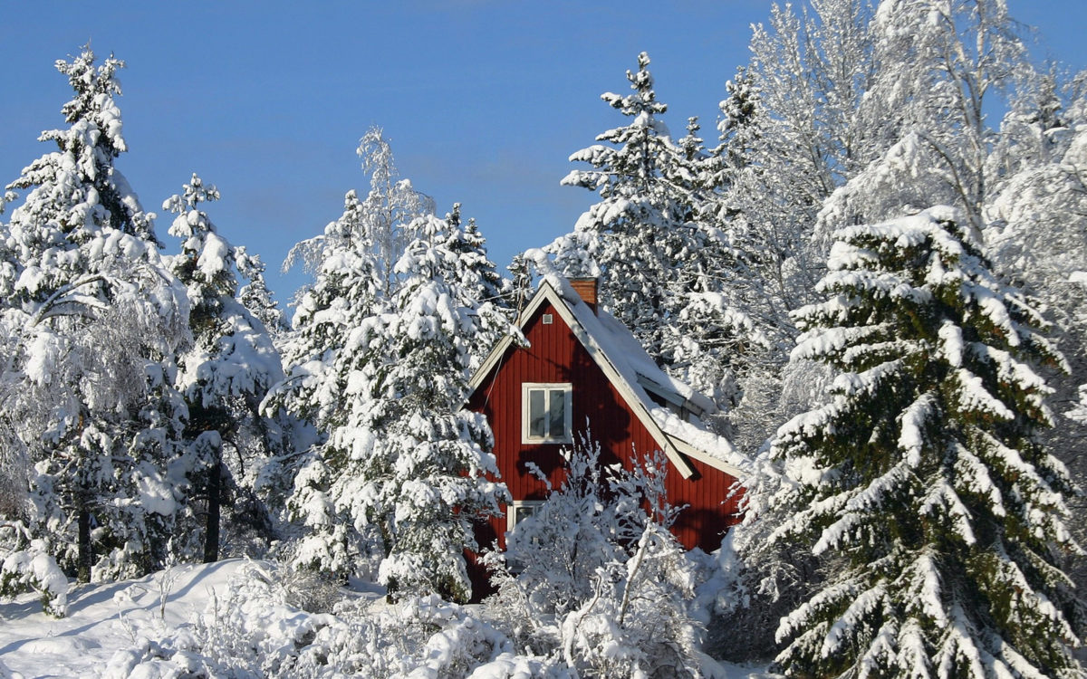 52+ Snow Scenes