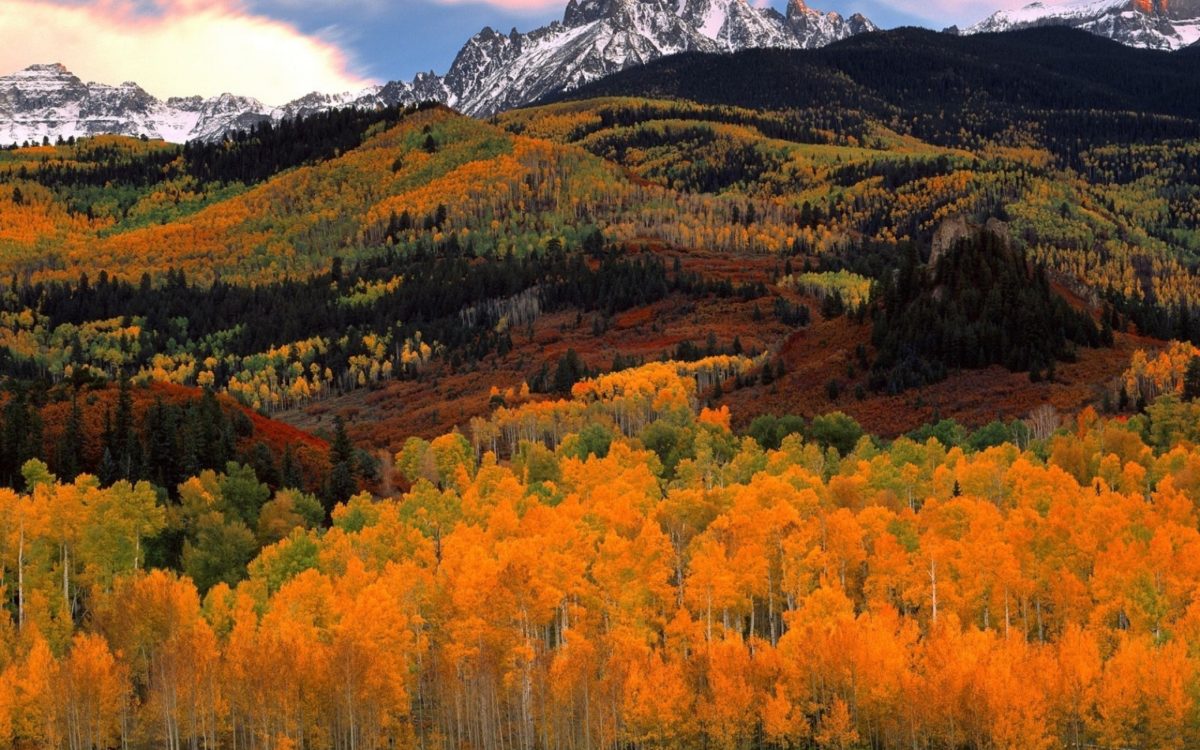 40+ HD Fall Mountain