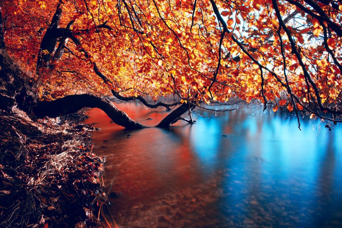 66+ Scenic Background