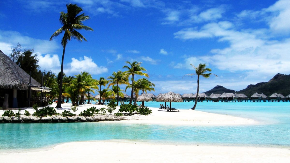 46+ Beach Panorama
