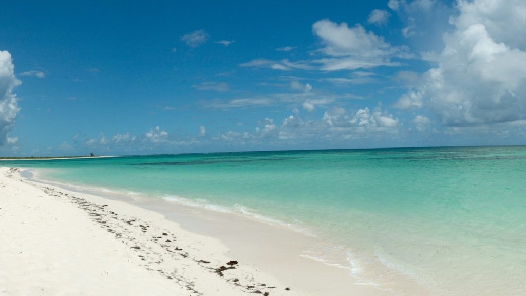49+ Panoramic Beach