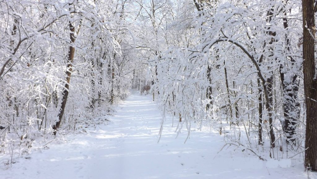 42+ Beautiful Winter Wonderland Wallpaper