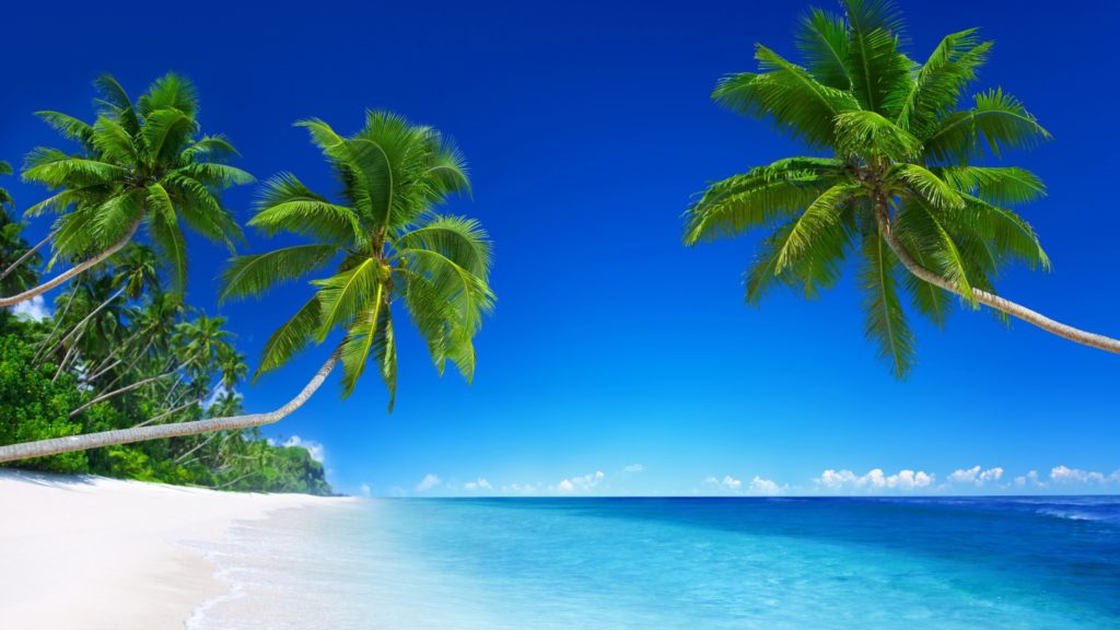 59+ Sunny Beach