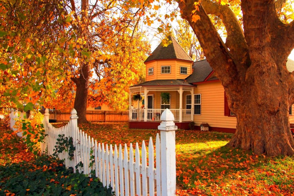 46+ Pretty Fall Backgrounds