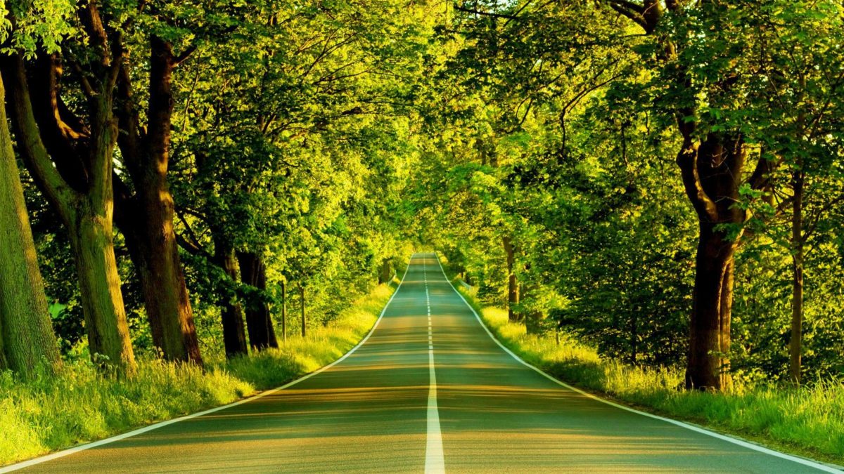45+ HD Wallpapers for PC of Nature