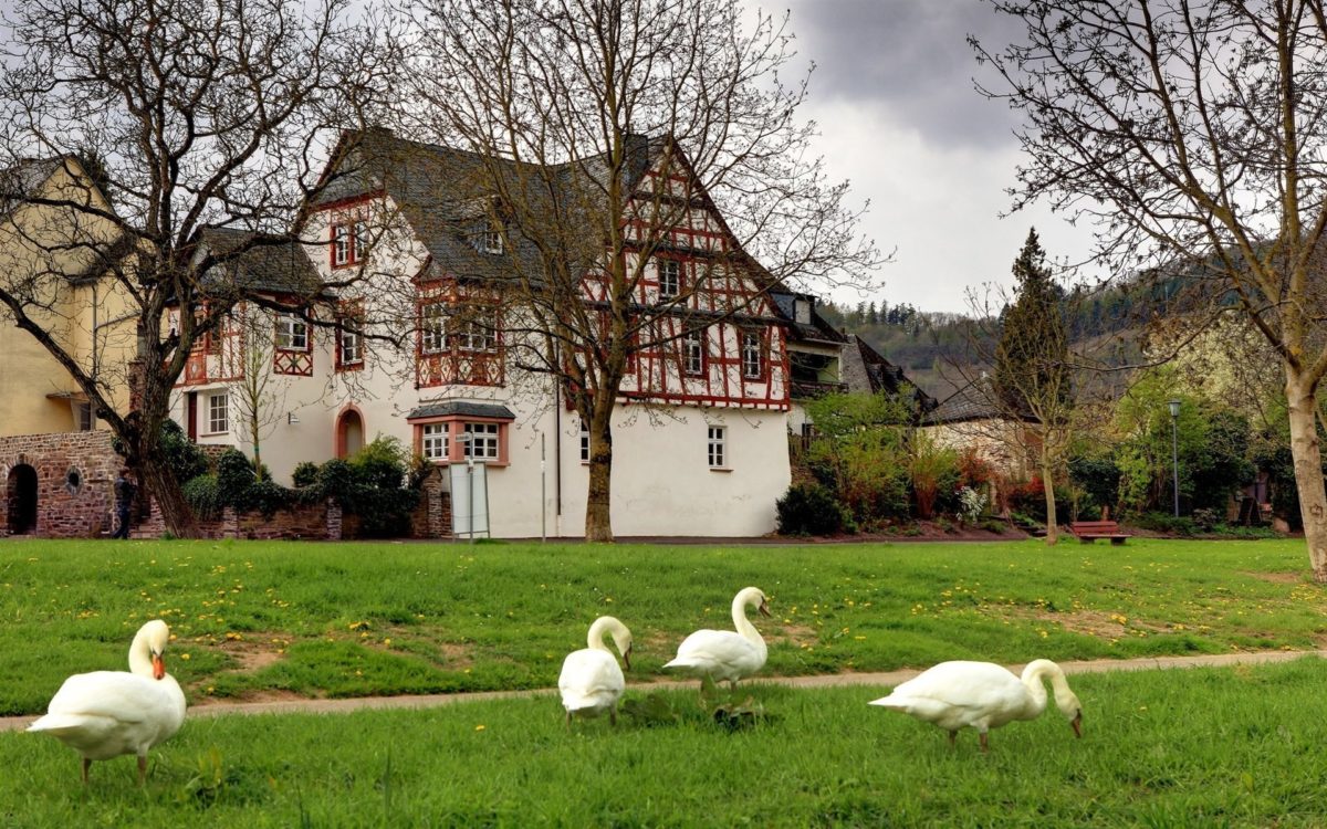 52+ German Landscapes