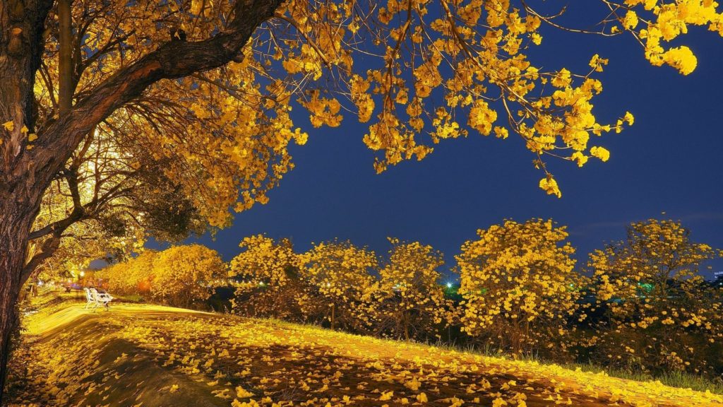 52+ German Landscapes