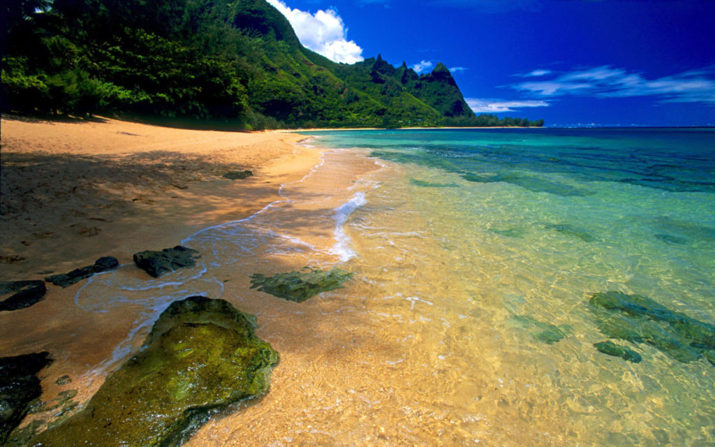 56+ Pretty Beach Backgrounds