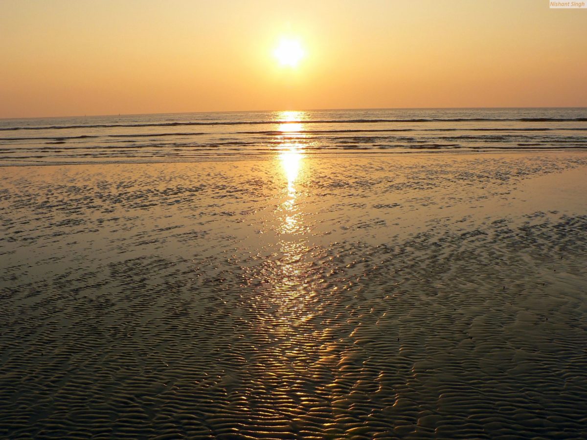 56+ Pretty Beach Backgrounds