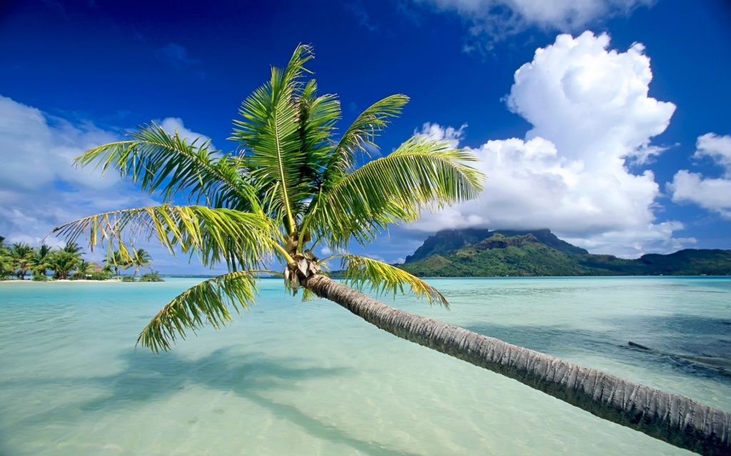 56+ Pretty Beach Backgrounds