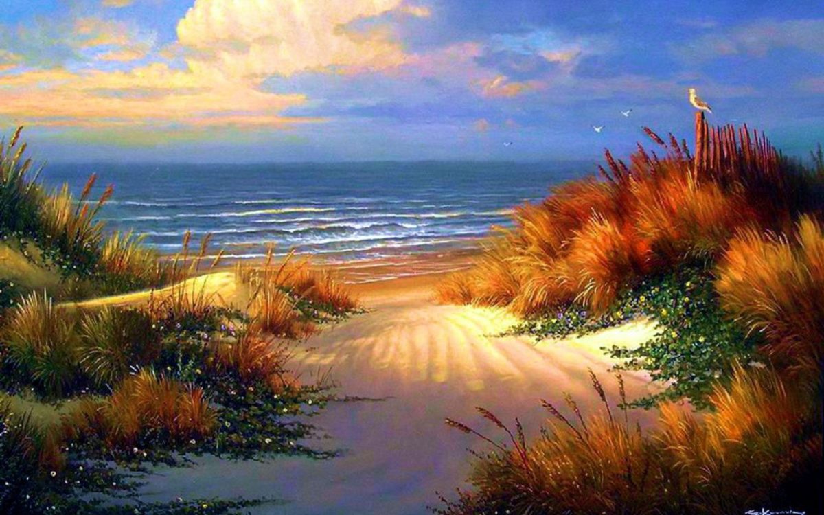 56+ Pretty Beach Backgrounds