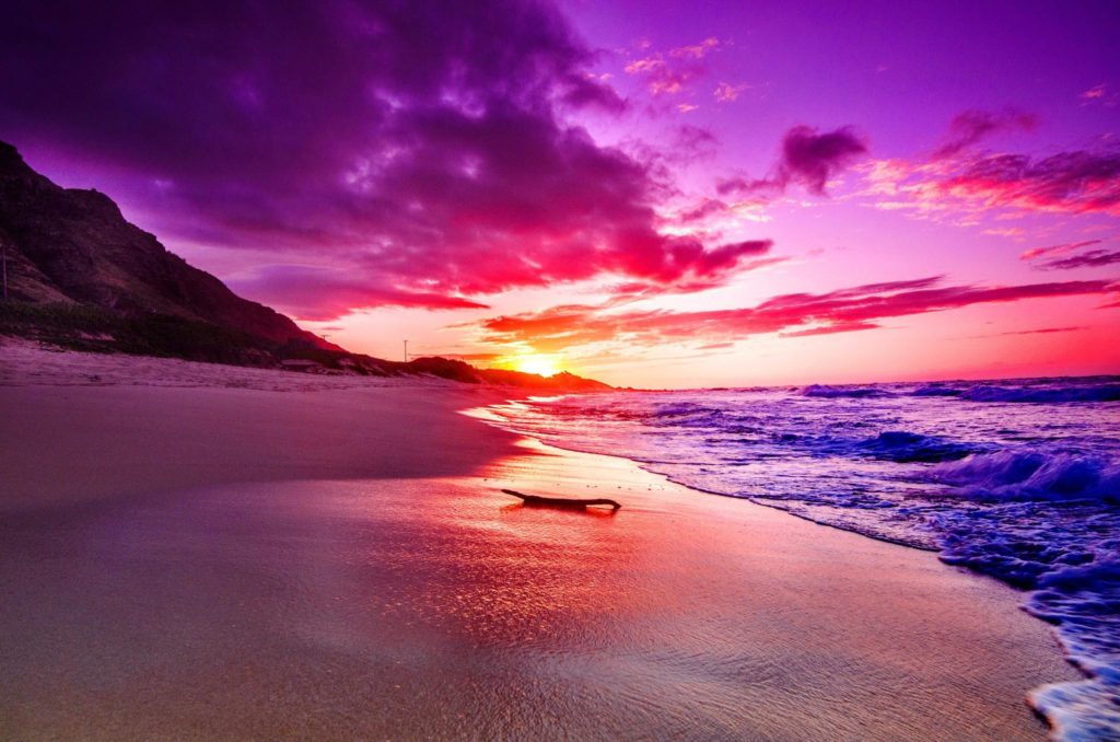 56+ Pretty Beach Backgrounds