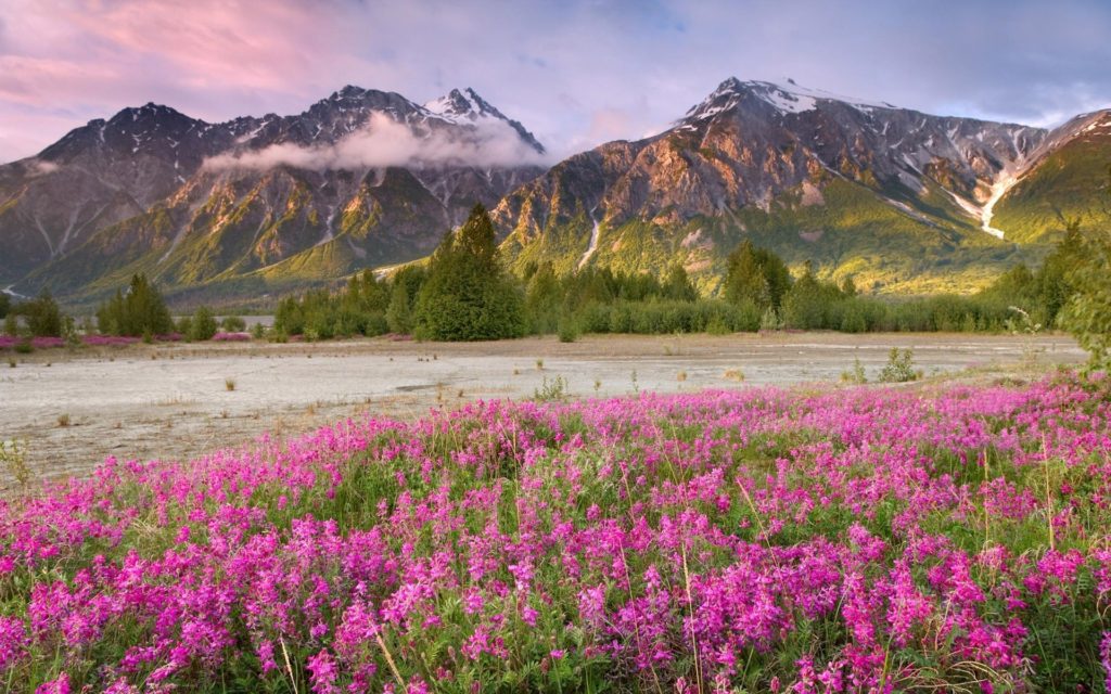 54+ Spring Desktop Wallpaper Screensaver