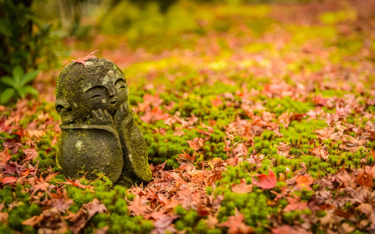 58+ Fall Computer Background