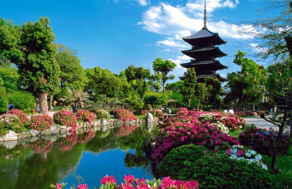 89+ Japanese Nature