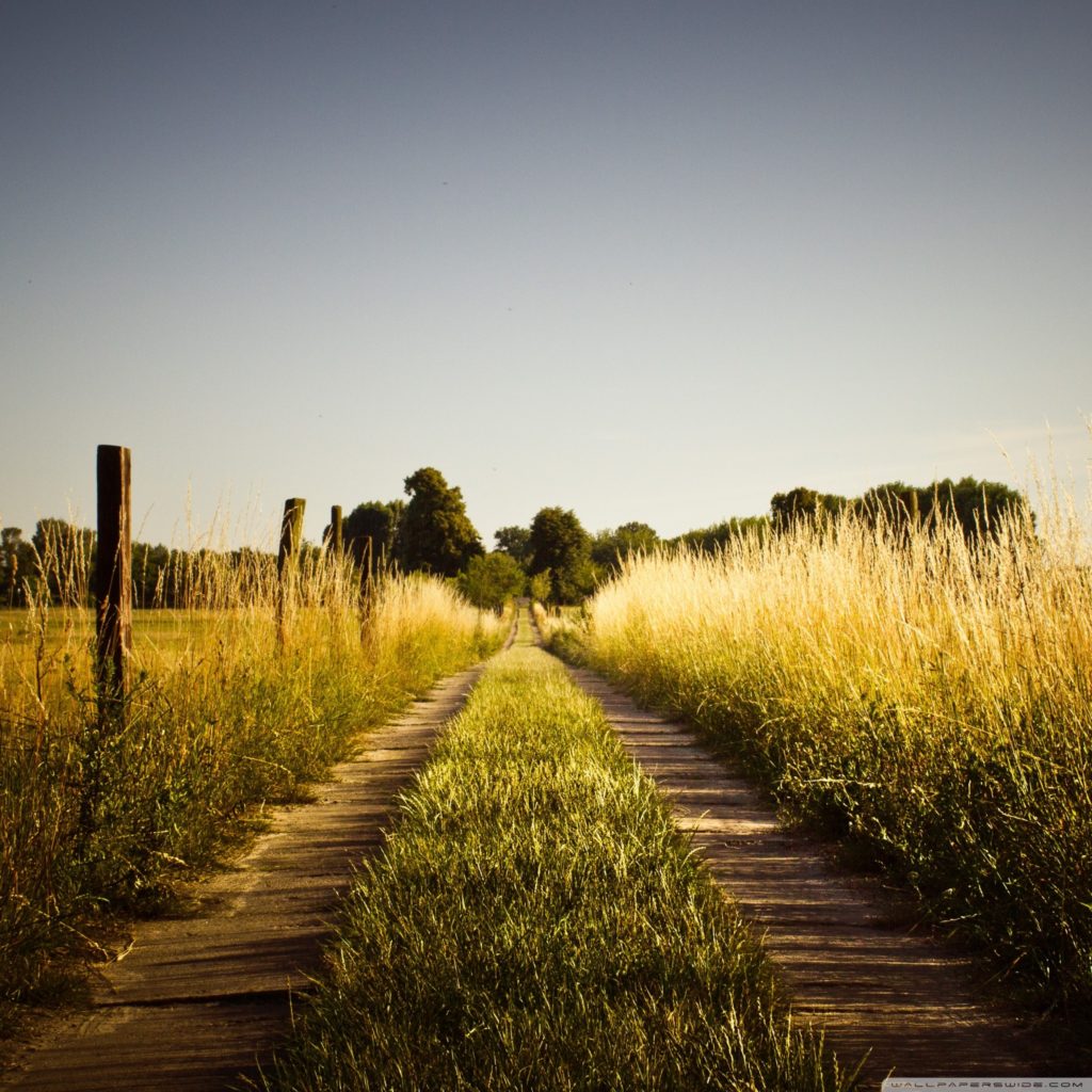 57+ Wallpapers and Screensavers for Tablets