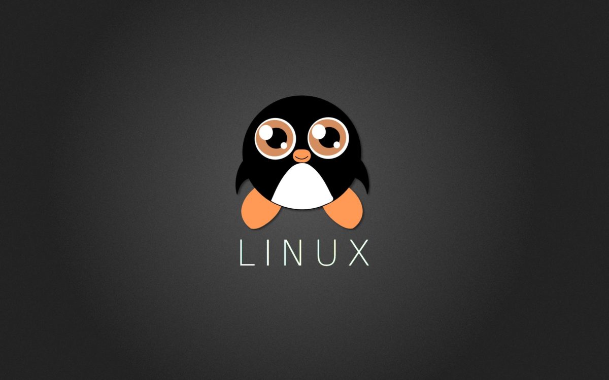 66+ Kali Linux Wallpaper HD