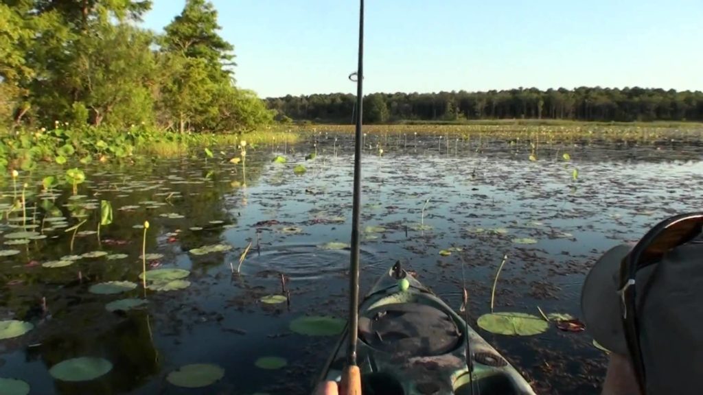 58+ Bass Fishing Wallpaper HD