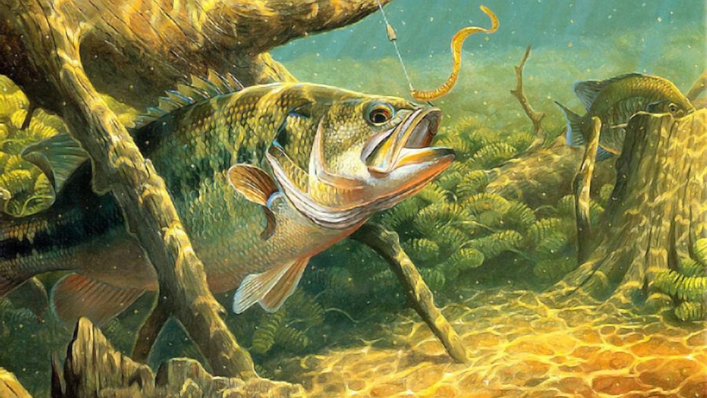 58+ Bass Fishing Wallpaper HD