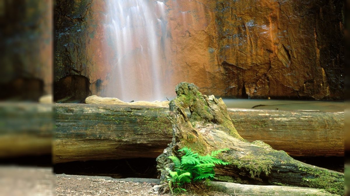 43+ Popular Screensavers and Wallpaper