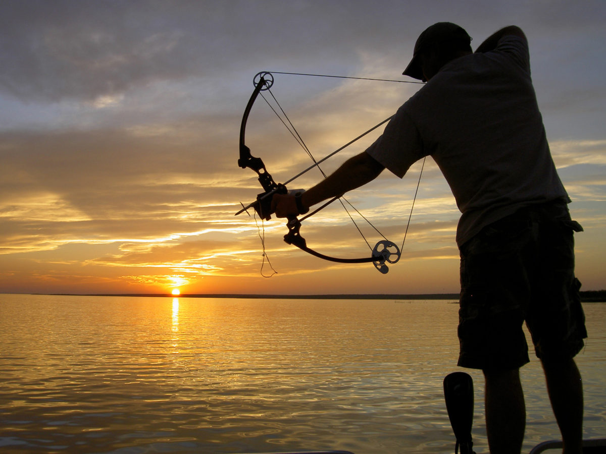 54+ Bow Hunting Background