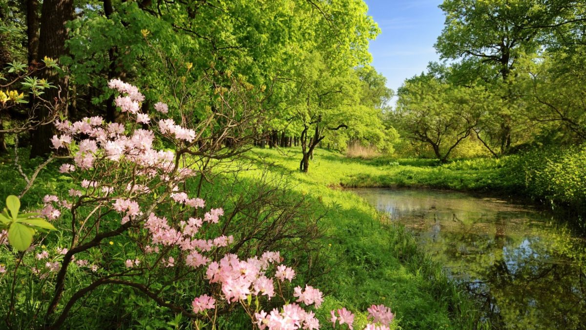 Full HD 1080p Spring Wallpapers HD, Desktop Backgrounds 1920×1080 ...