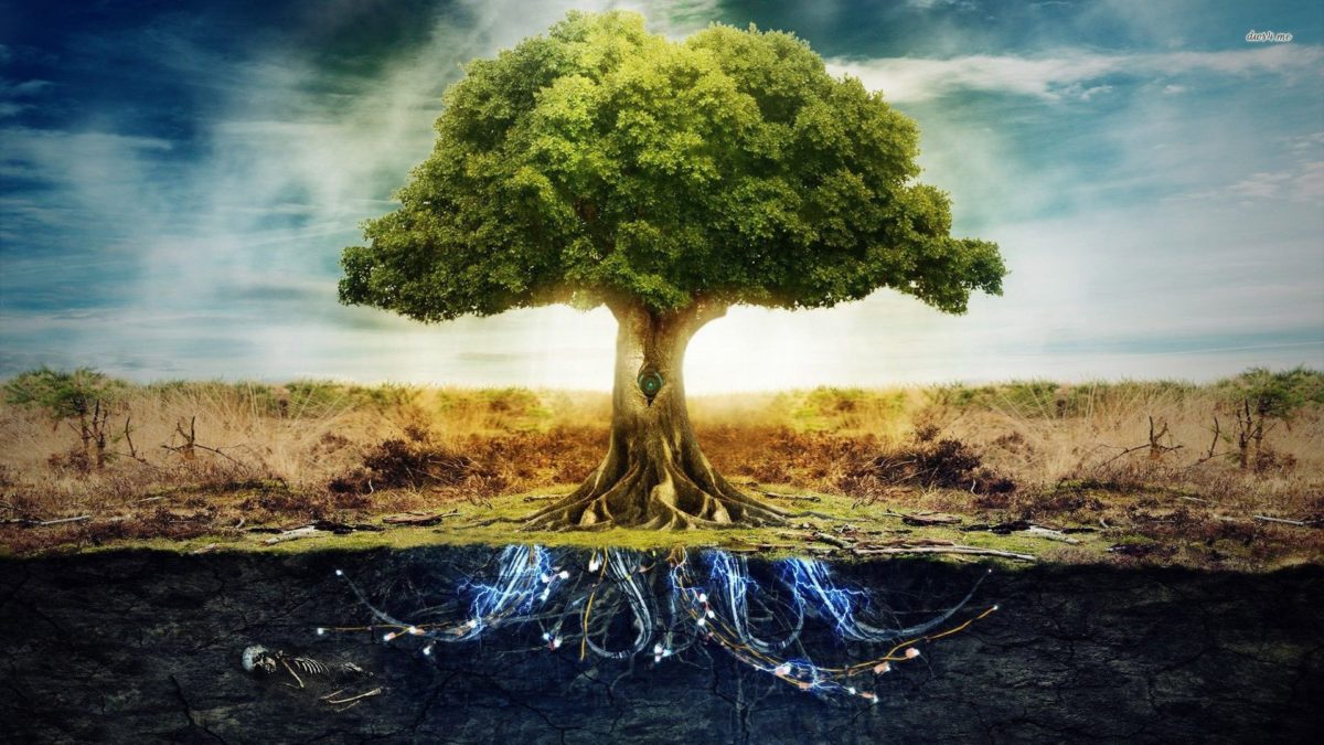 63+ Yggdrasil