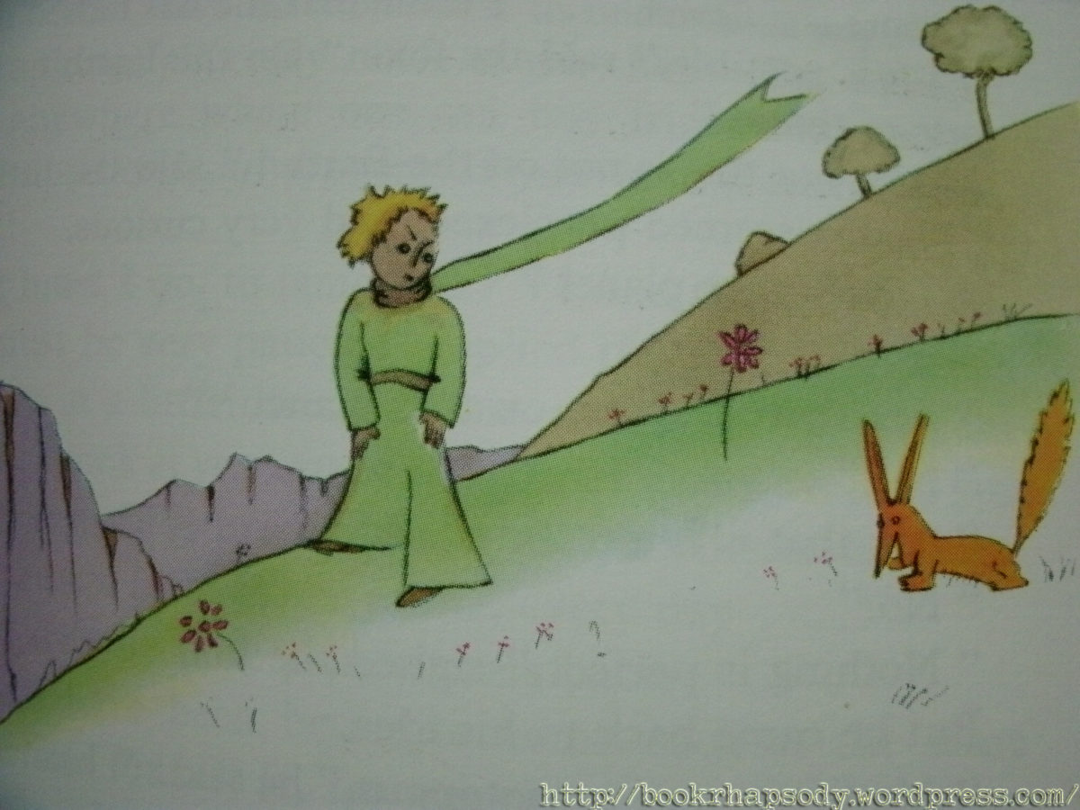 65+ The Little Prince