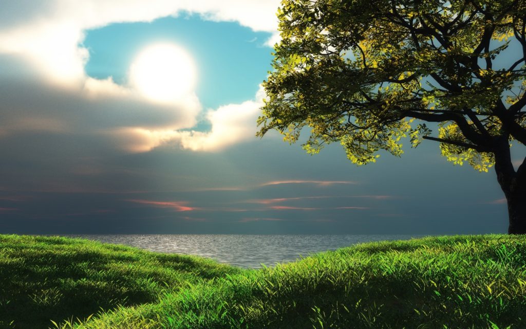 66+ All Screensavers and Wallpaper