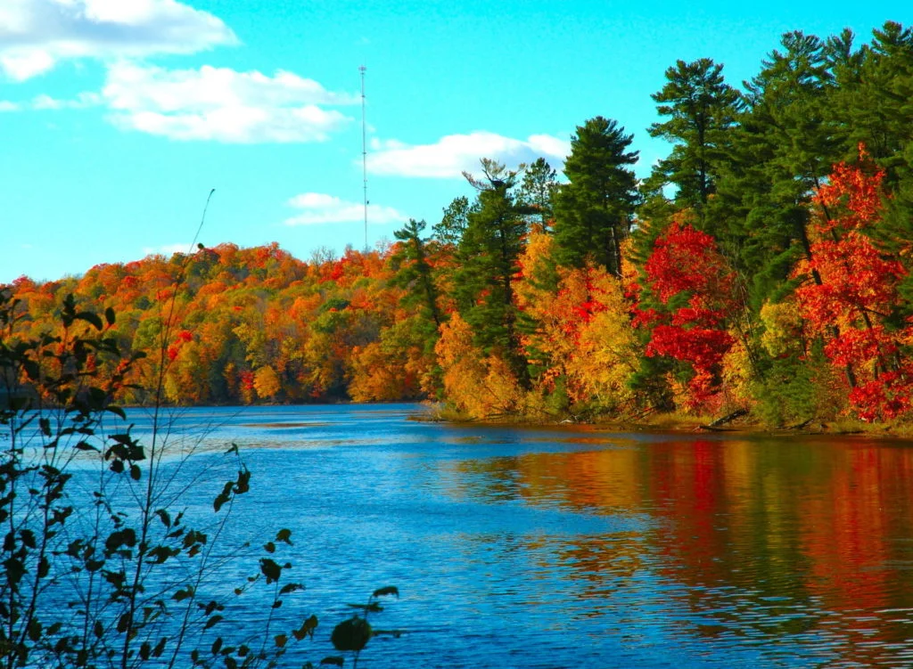 66+ All Screensavers and Wallpaper