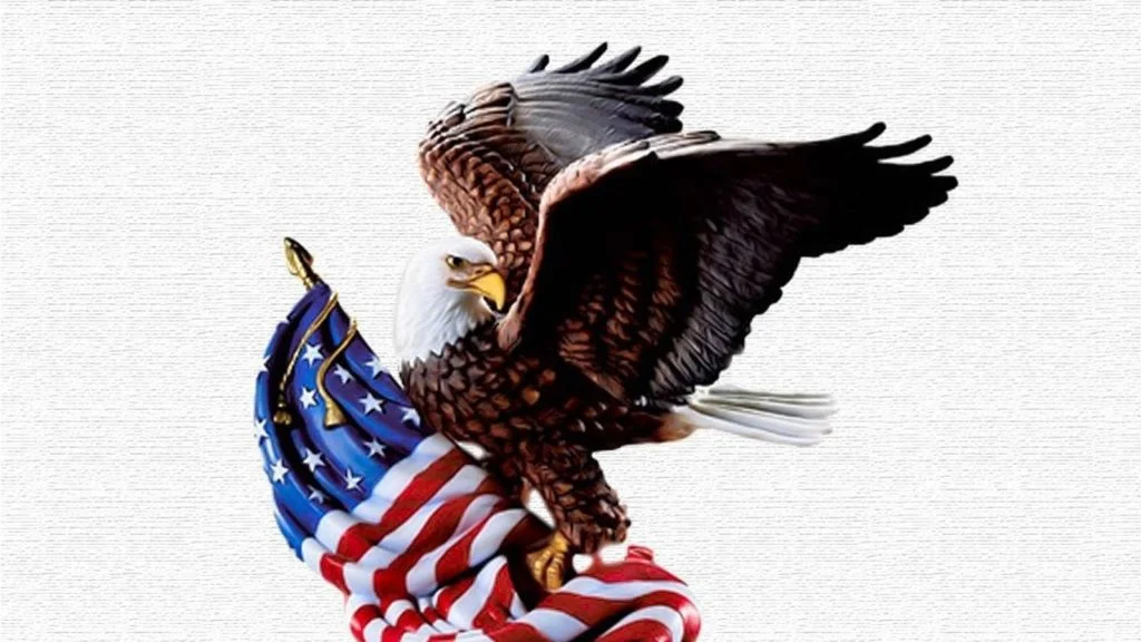 64+ American Flag With Eagle