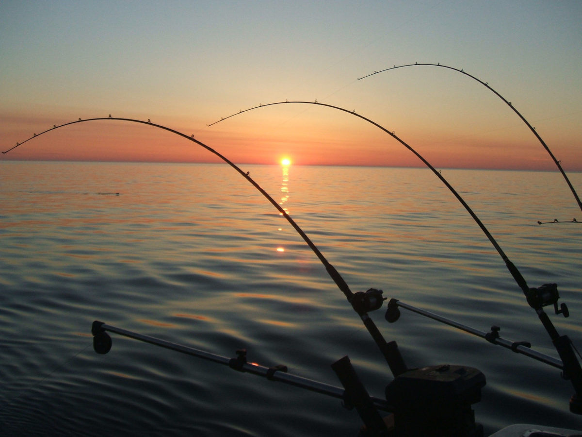 58+ Saltwater Fishing