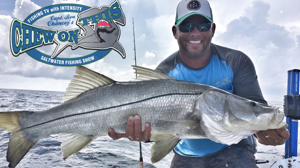 Best Snook Fishing Video – Saltwater Fishing Most Popular – Amazing ...