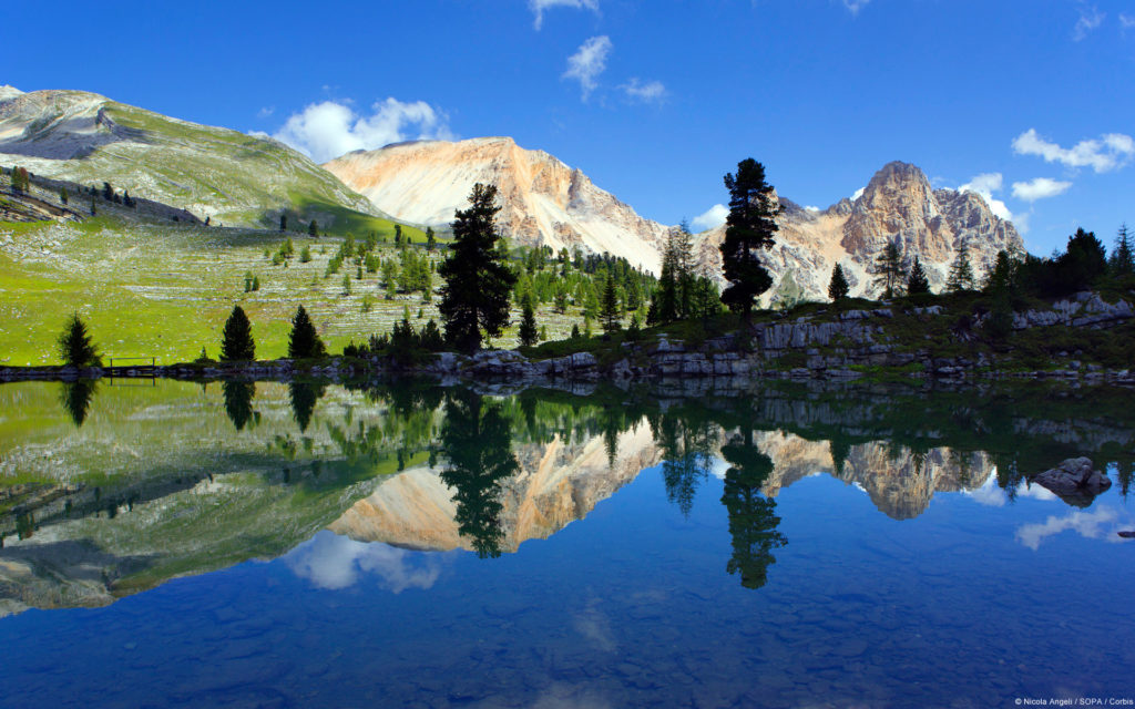 63+ Microsoft Wallpaper and Screensavers