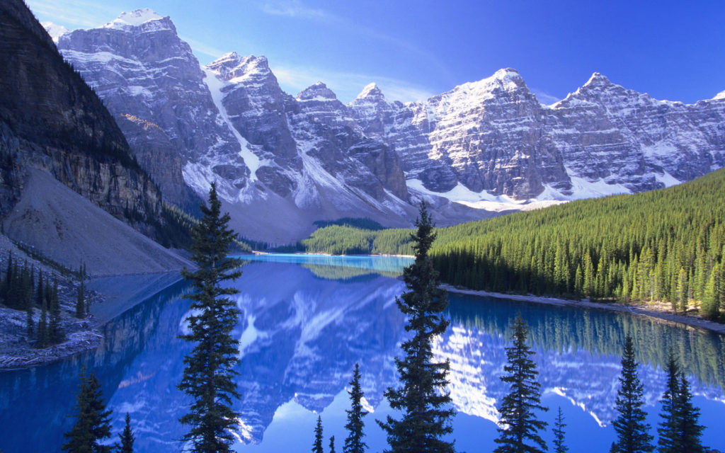 63+ Microsoft Wallpaper and Screensavers