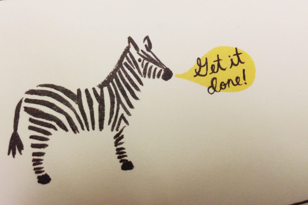 60+ Salt Life Wallpaper for iPhone