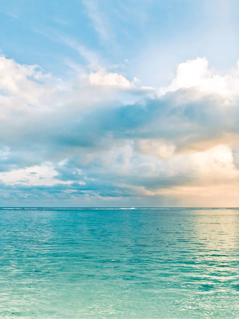 73+ Summer Wallpaper for iPhone