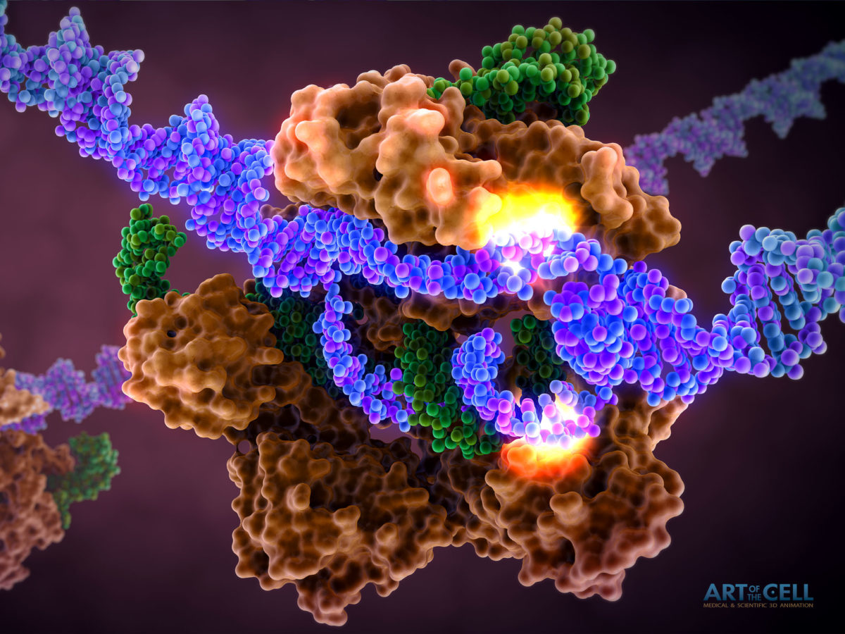 54+ Cell Biology