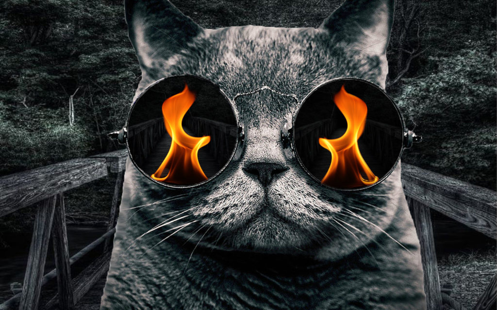 62+ Trippy Cat
