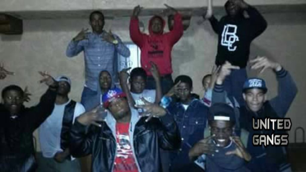 61+ Bloods and Crips