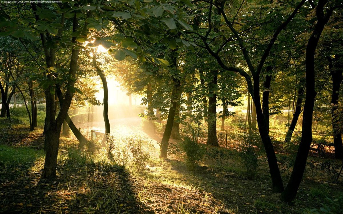 69+ Nice Desktop Backgrounds