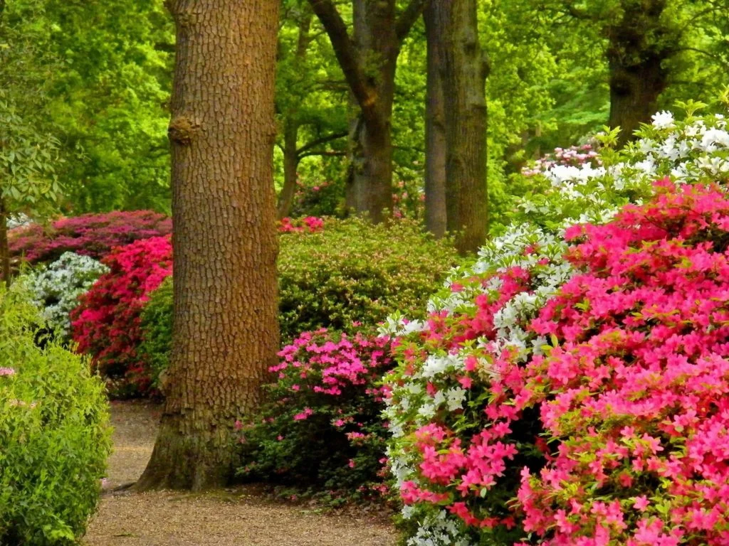 69+ Nice Desktop Backgrounds