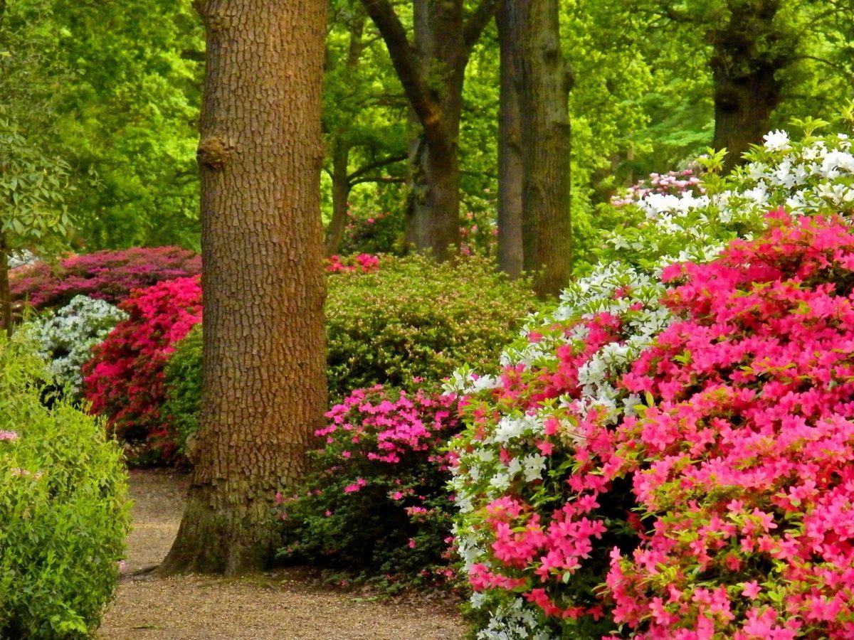 69+ Nice Desktop Backgrounds