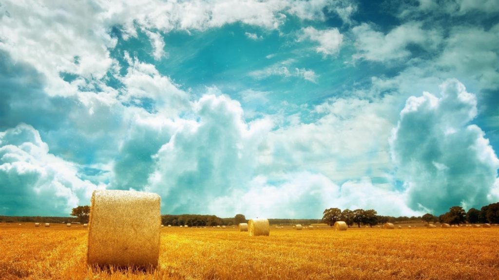 55+ HD Farm