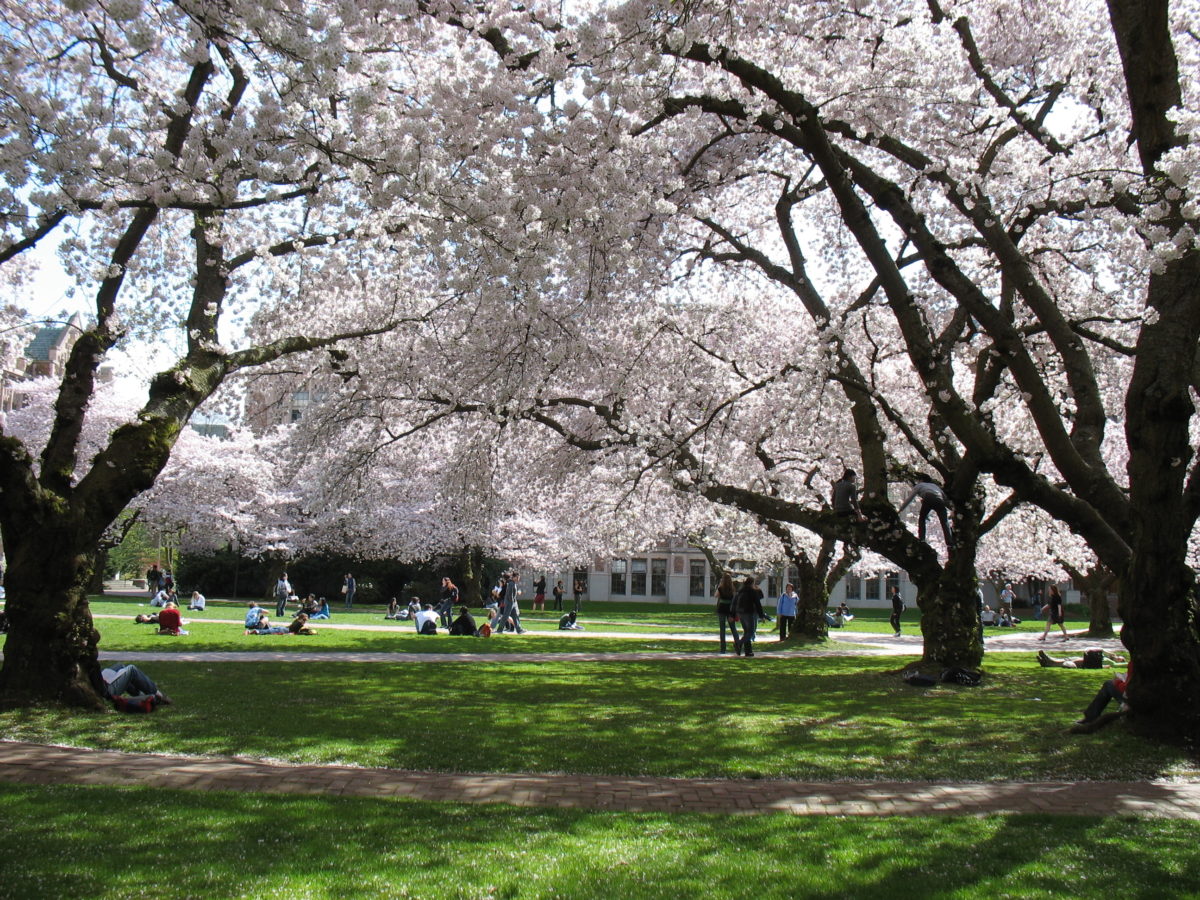 61+ University of Washington