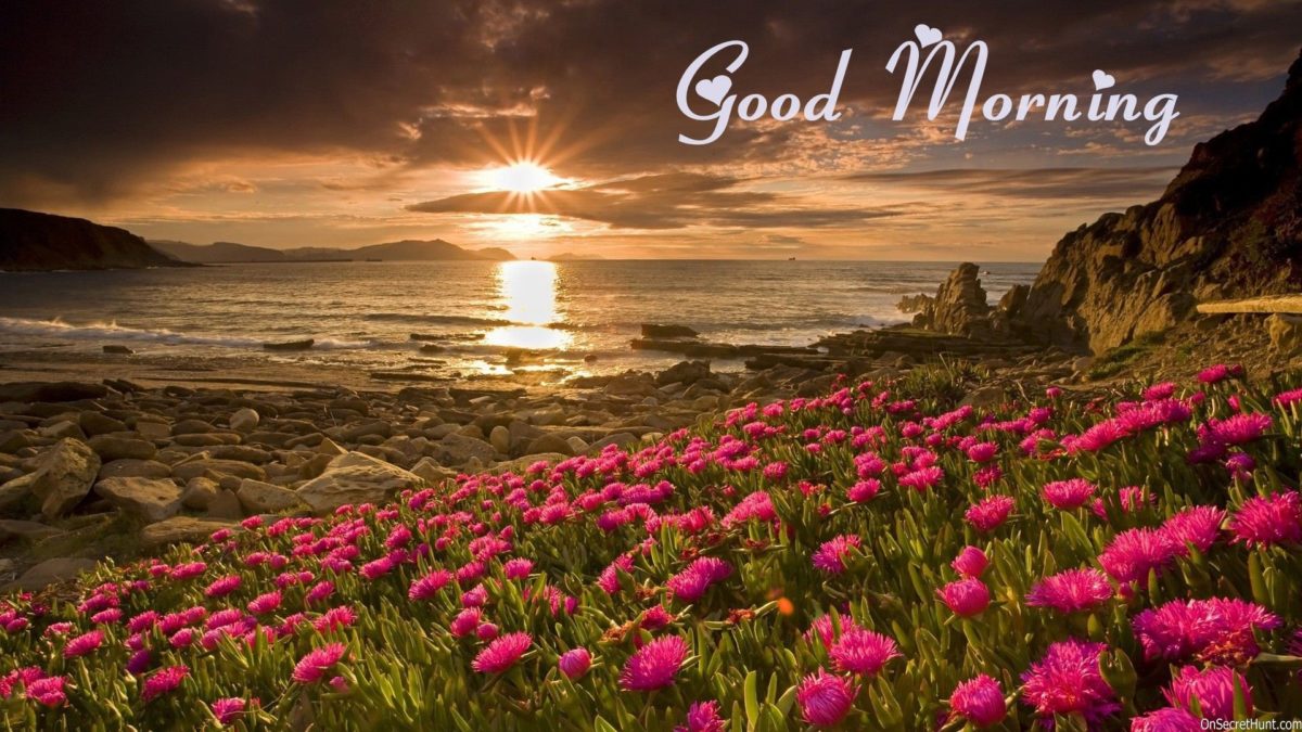 Good Morning Wallpaper 19201080 hd background hd screensavers hd ...